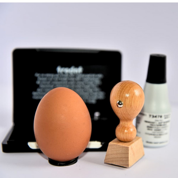 Personalised Egg Marking Kit | Customstampsonline.com