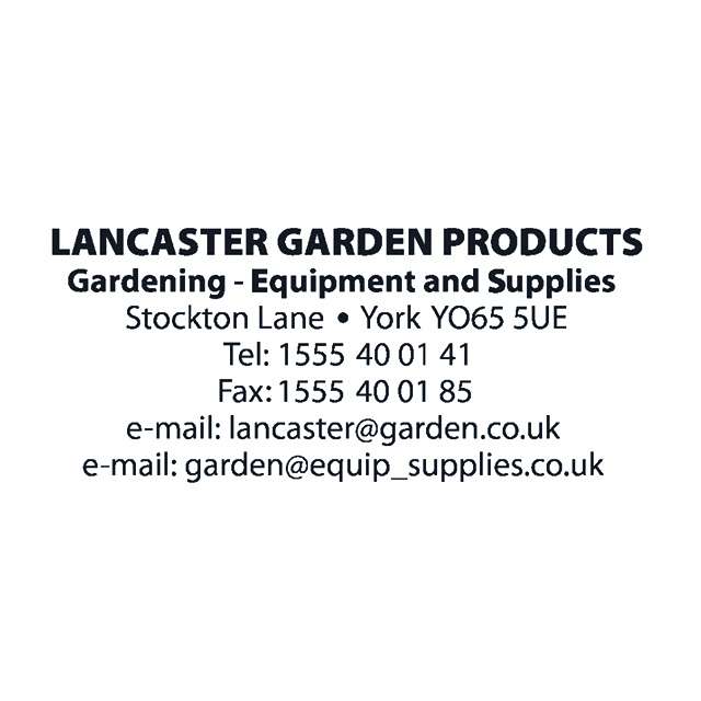 Colop Printer 50 Custom Stamp